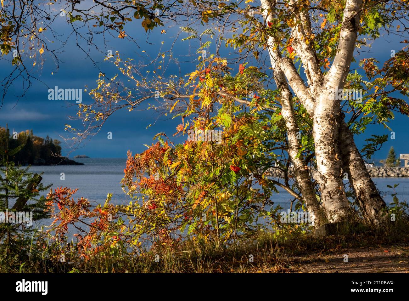 Islet foliage hi-res stock photography and images - Alamy