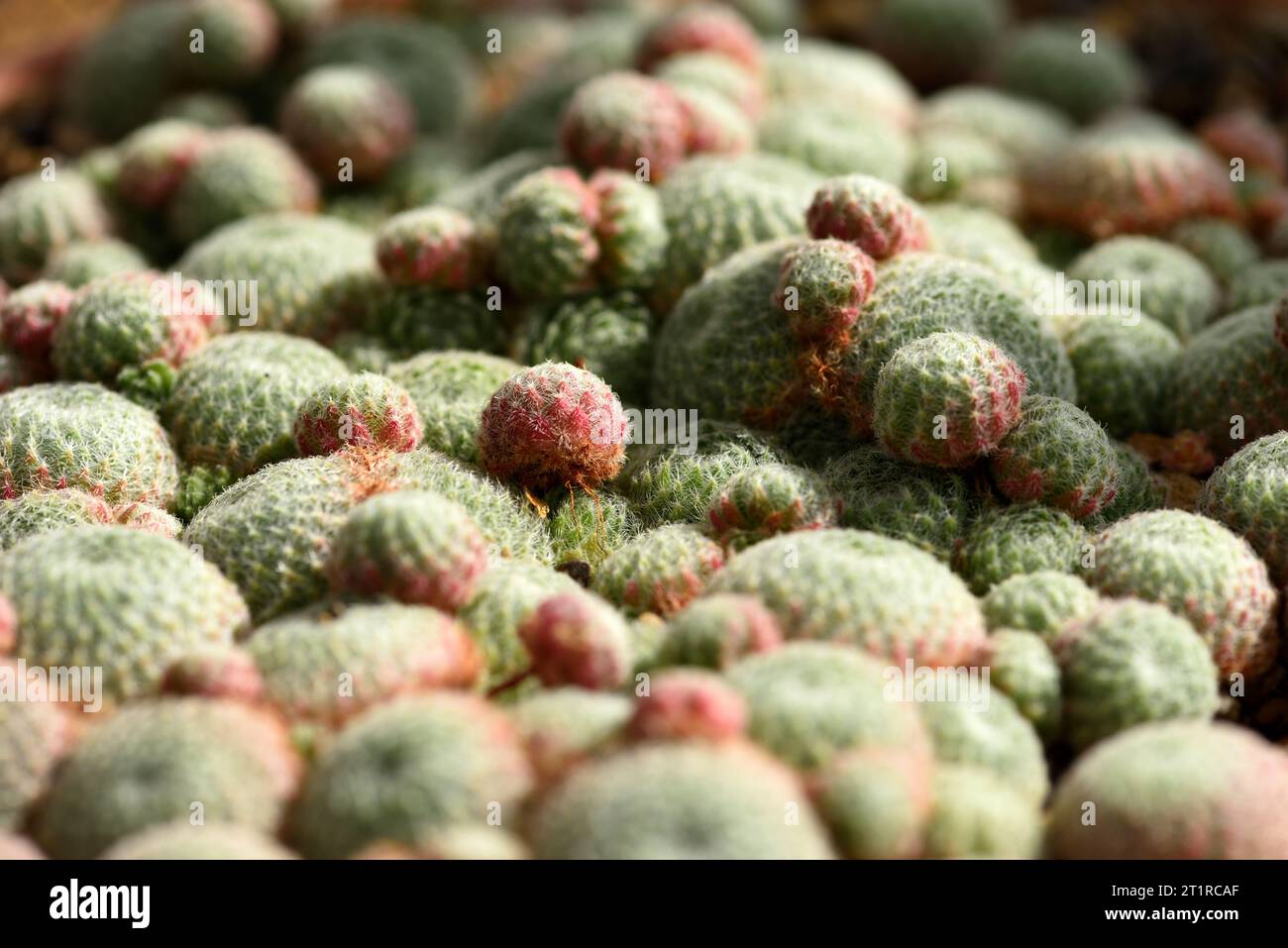 Ground level view hi-res stock photography and images - Alamy