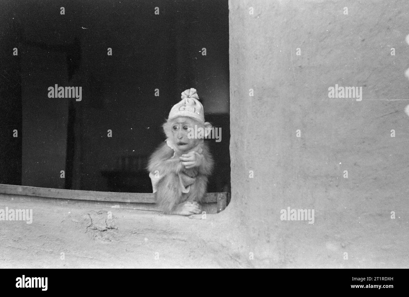 Detachment 101, an enigmatic Allied intelligence and special operations ...