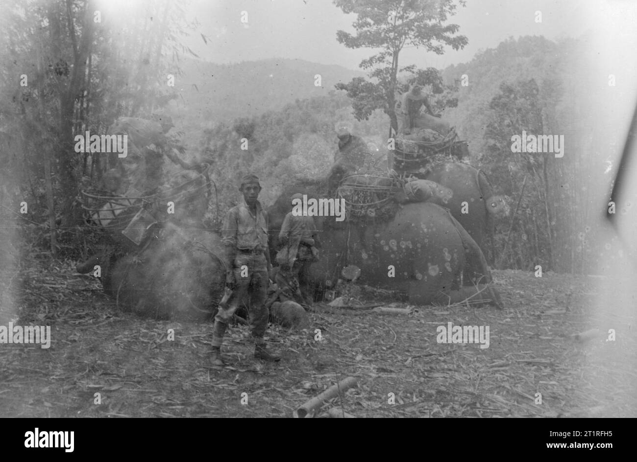 Detachment 101, an enigmatic Allied intelligence and special operations ...