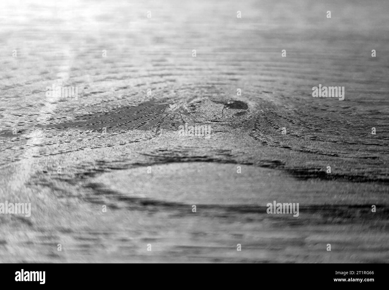 Natural wood black and white background with blurred elements ...