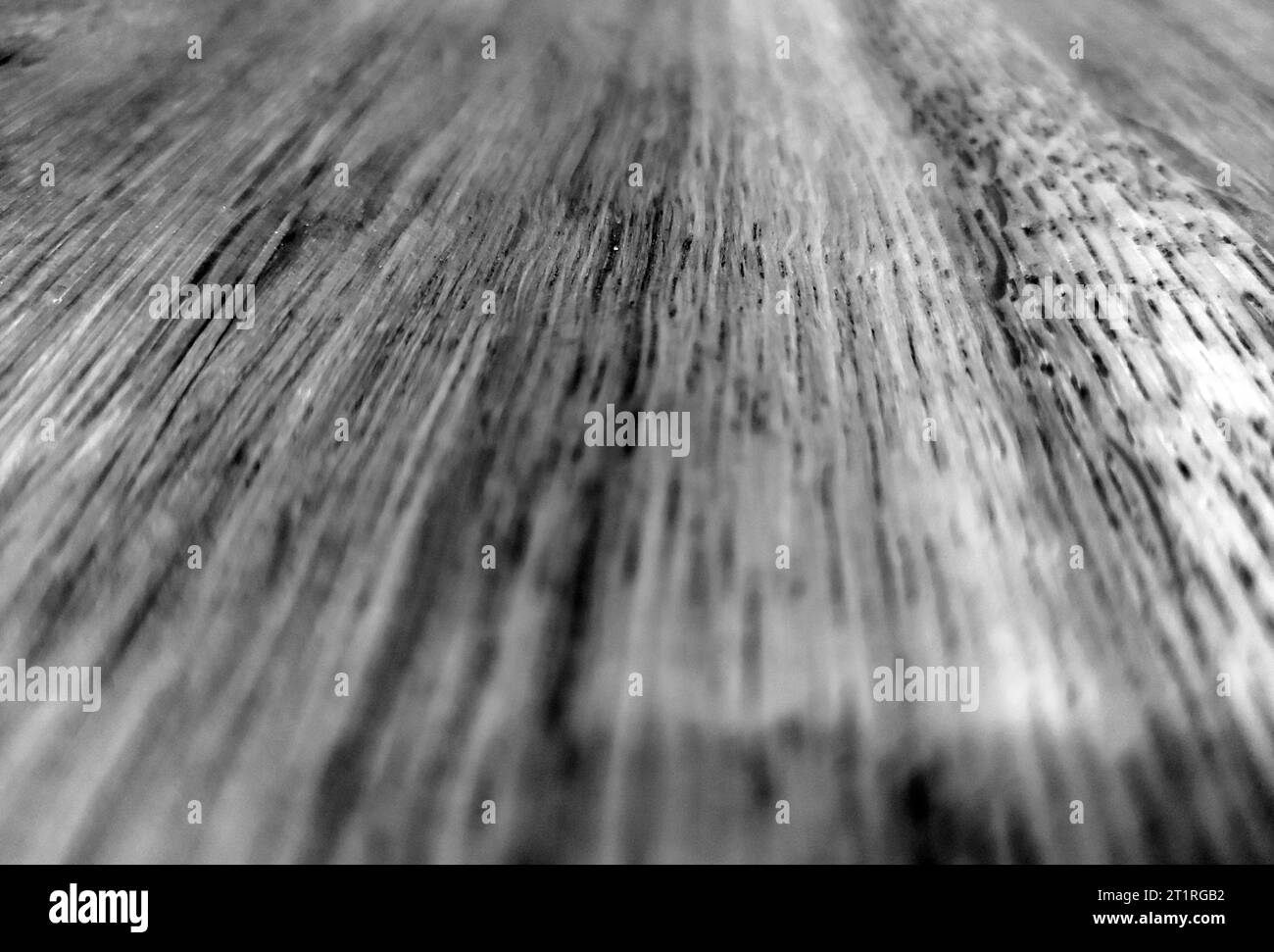 Natural wood black and white background with blurred elements ...