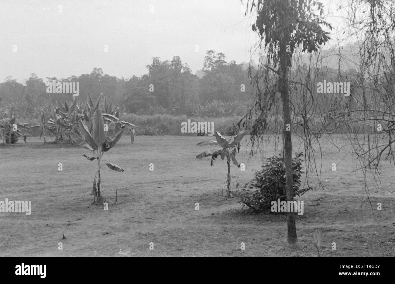 Detachment 101, an enigmatic Allied intelligence and special operations ...