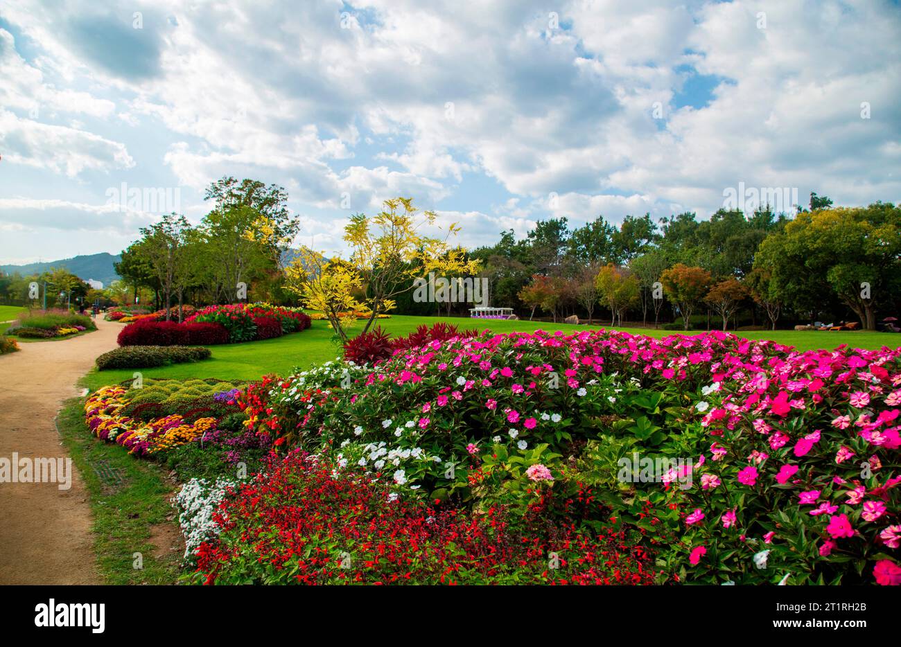 Suncheon bay national garden hi-res stock photography and images - Alamy