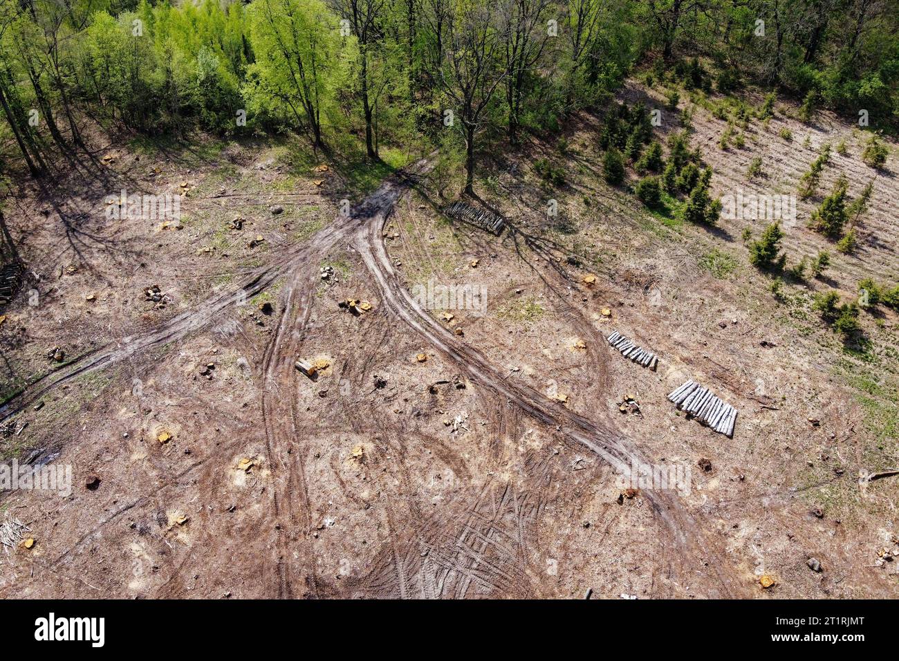 A place of felling of trees, aerial view. Logging site Stock Photo - Alamy