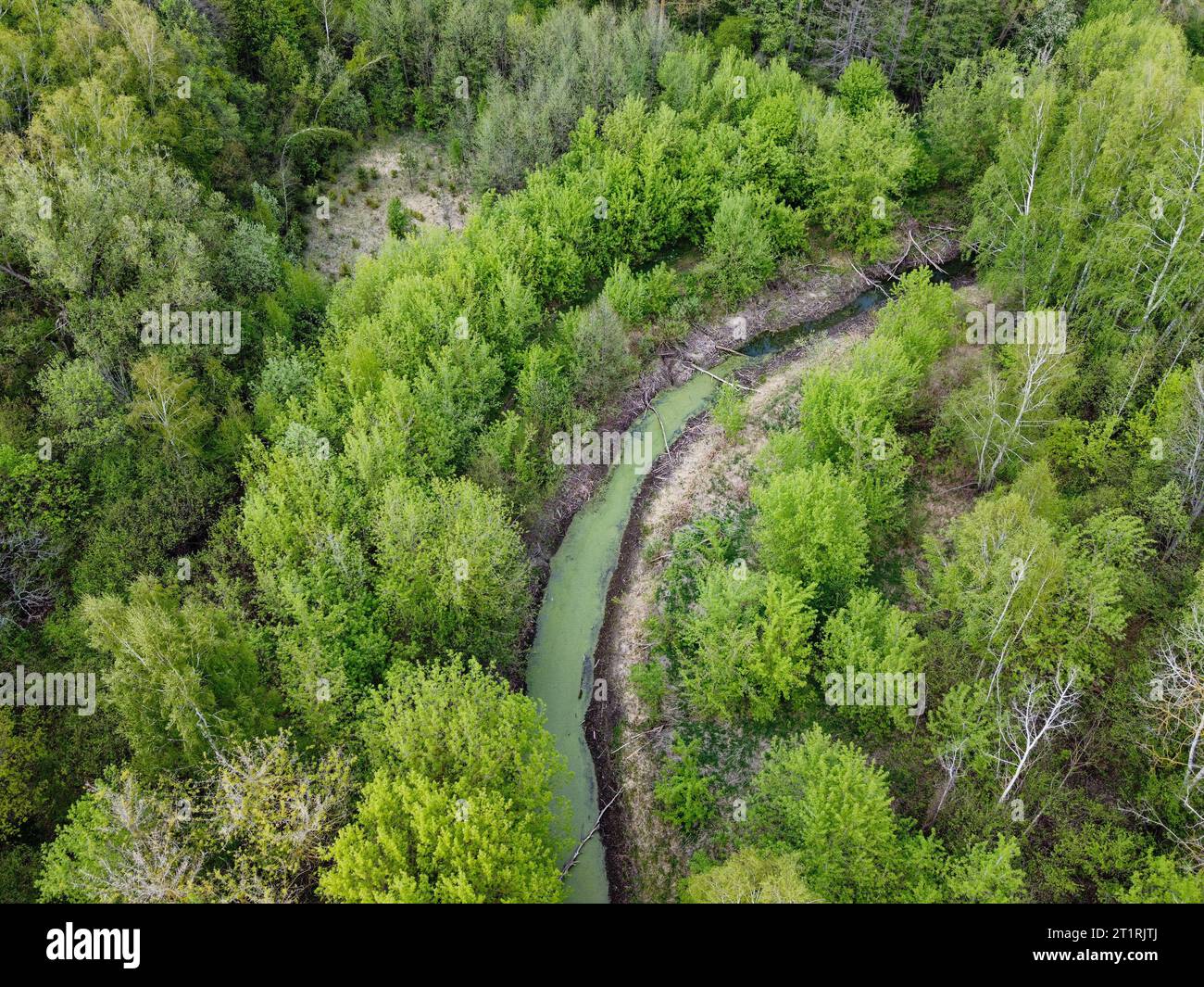 Shot river spring in forest hi-res stock photography and images - Alamy