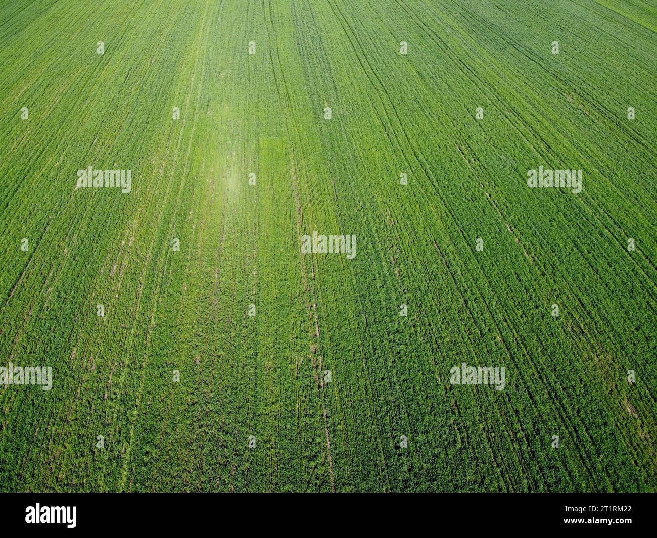 Texture agricultural field hi-res stock photography and images - Alamy