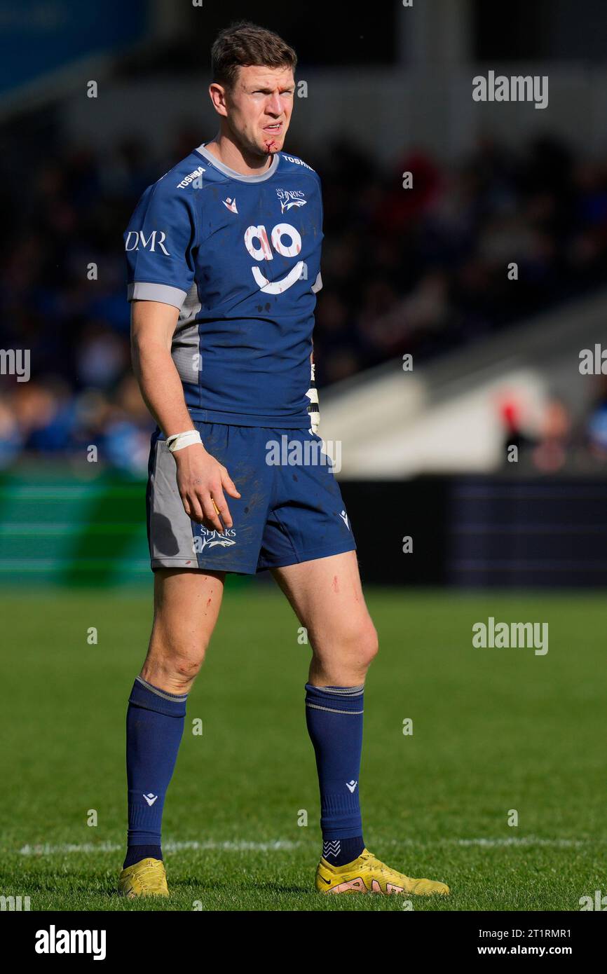 Shark stadium hi-res stock photography and images - Alamy