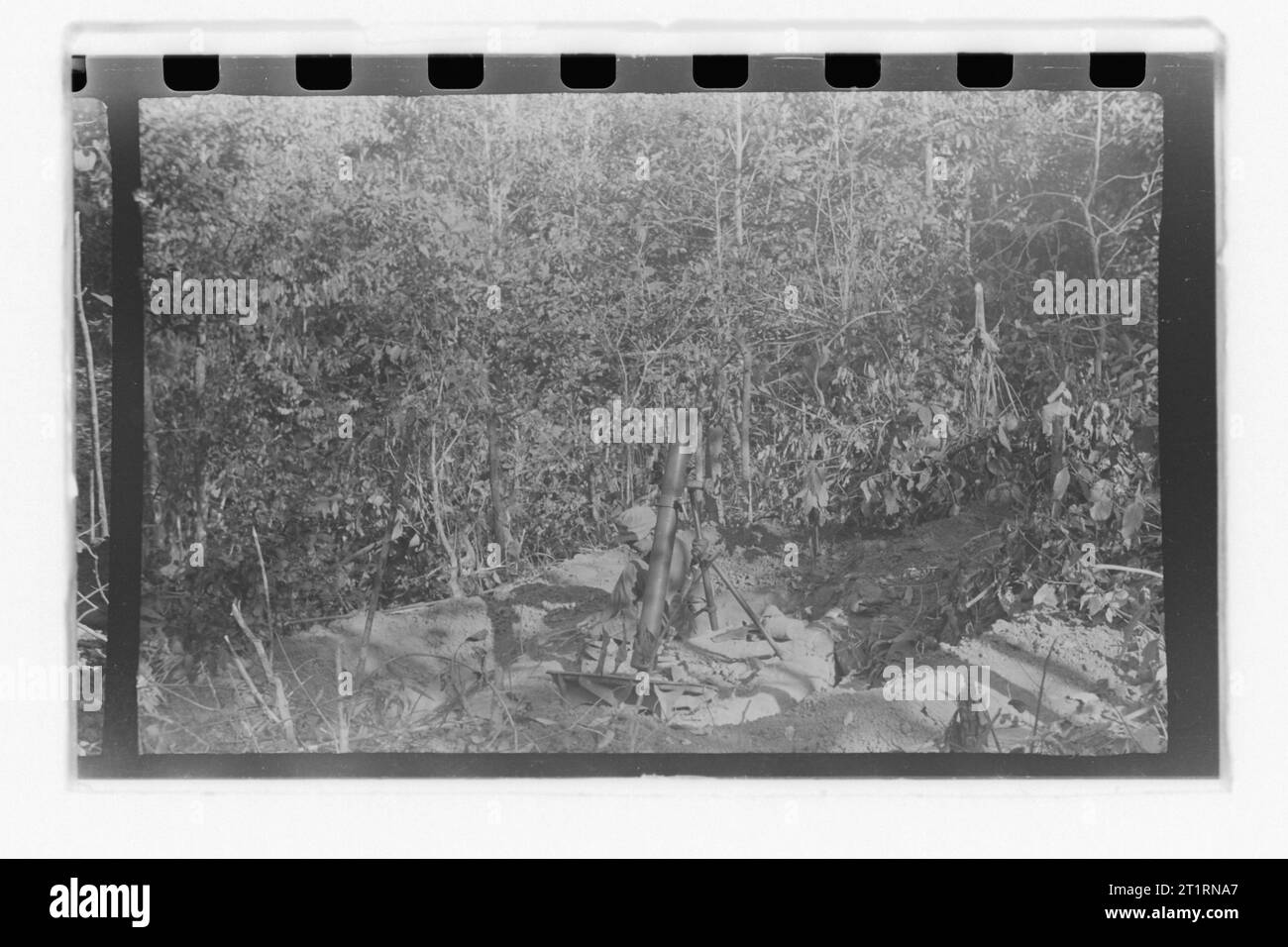 Guerrilla group Cut Out Stock Images & Pictures - Alamy