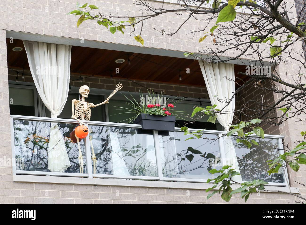 A Halloween skeleton waves from a balcony in the Ukrainian Village ...