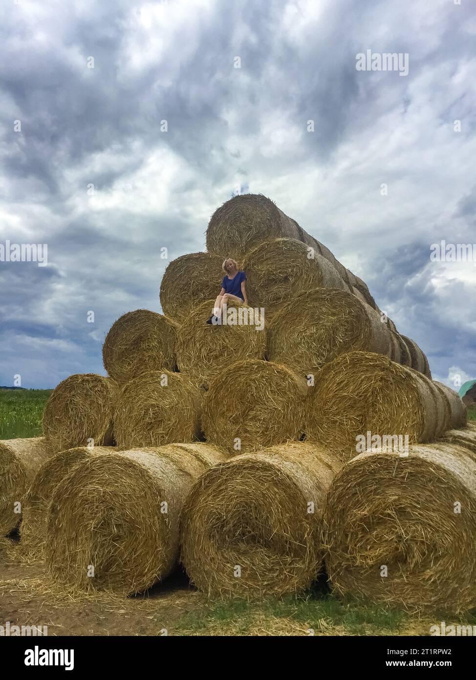 Straw in rolls. Hay for animal feed. Farming. Stocks of dry hay for the ...