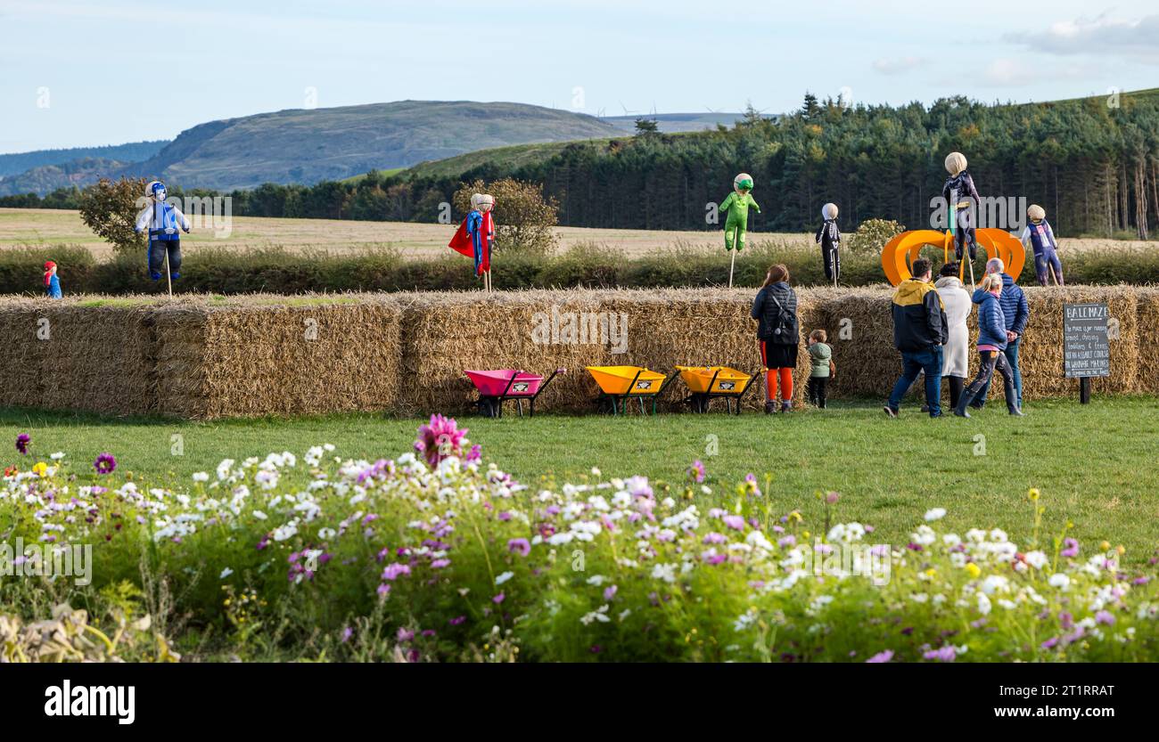 Kilduff Farm, East Lothian, Scotland, UK, 15th October 2023. Pumpkin ...