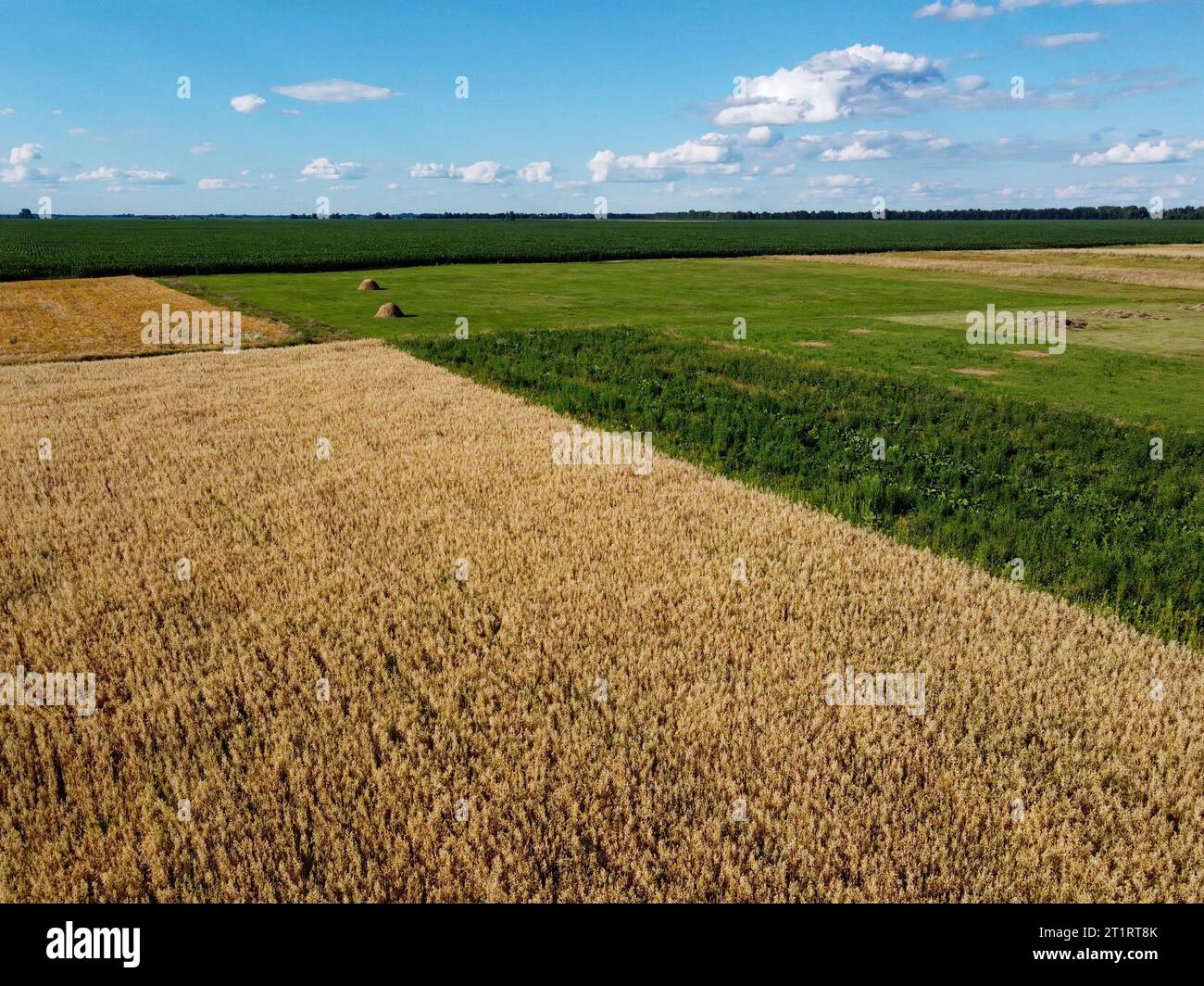 Beautiful agricultural landscape, open field with blue sky and white ...