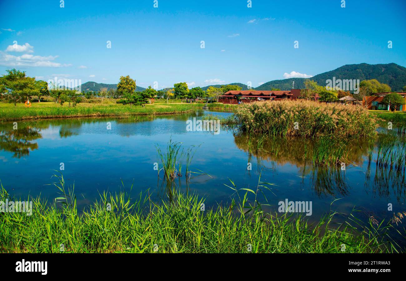 The Suncheon Bay Wetland, Oct 11, 2023 : The Suncheon Bay Wetland in ...