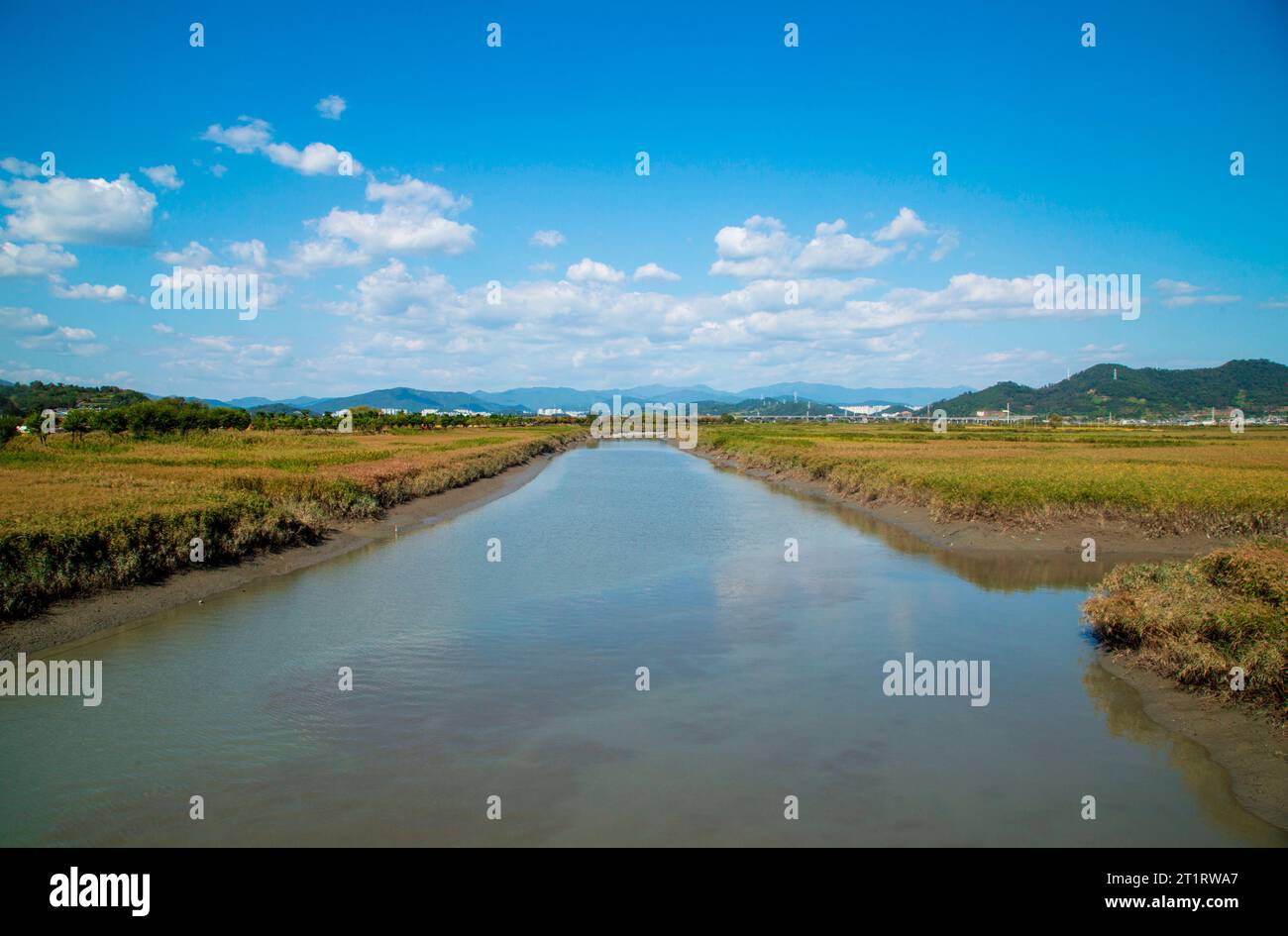 The Suncheon Bay Wetland, Oct 11, 2023 : The Suncheon Bay Wetland in ...