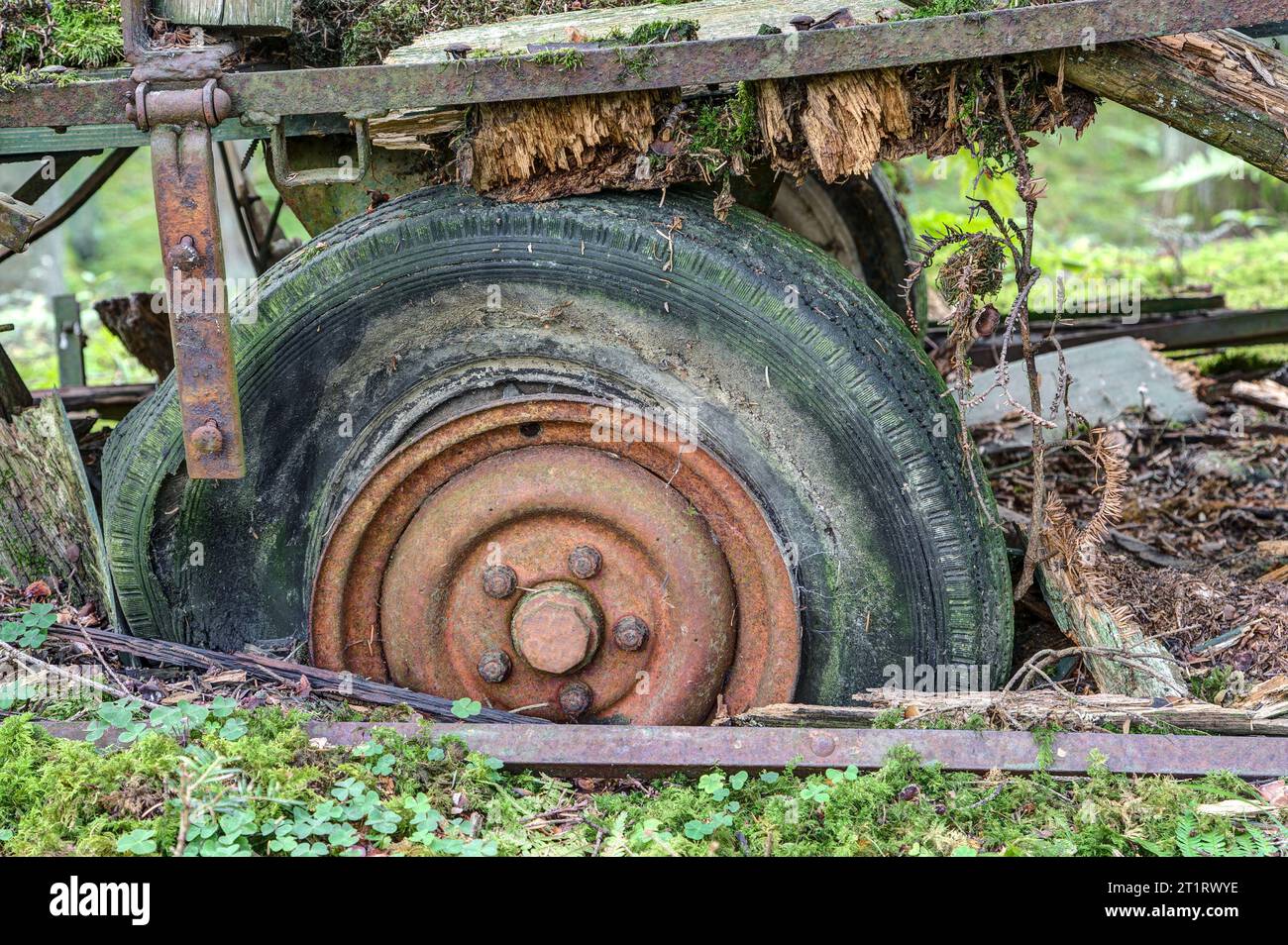 Symbolic of the fading era of automobiles, a decaying trailer wheel ...