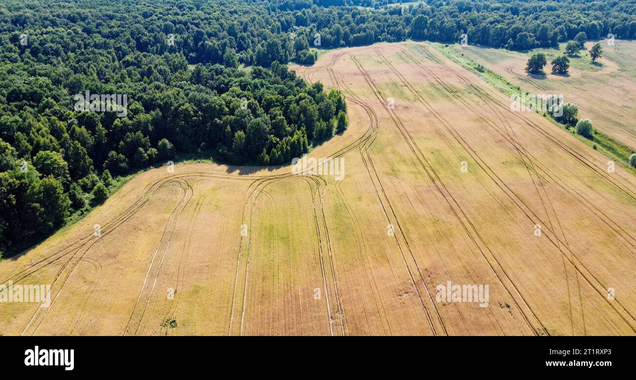 Aerial view large yellow field hi-res stock photography and images - Alamy