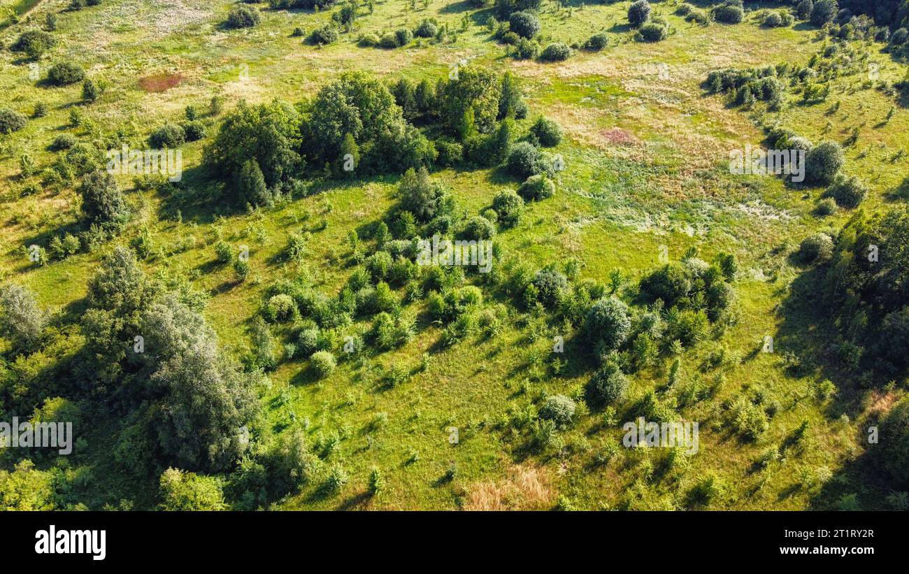 Aerial view small grove hi-res stock photography and images - Alamy