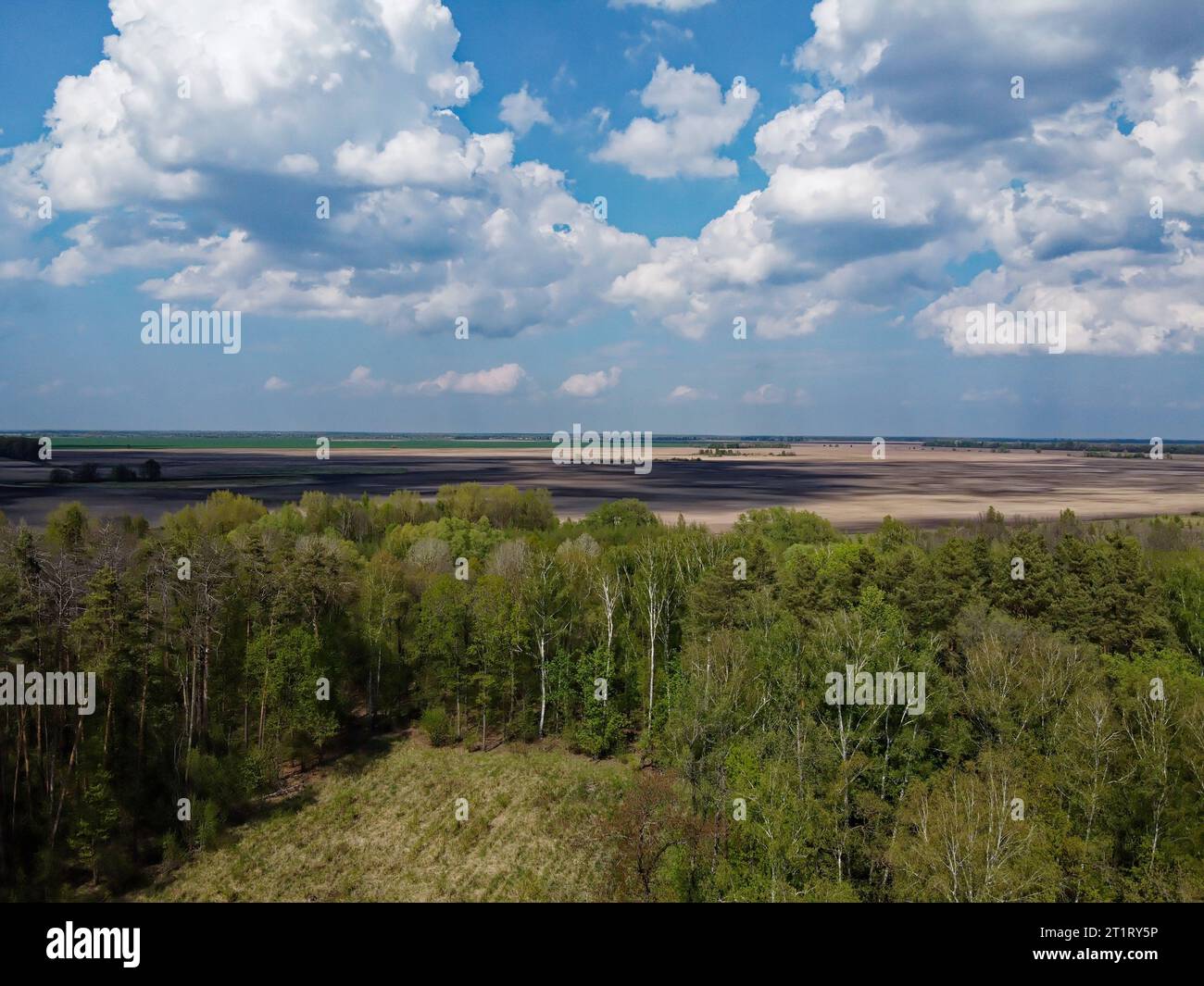 A place of felling, aerial view. Devastated land, clearing Stock Photo ...