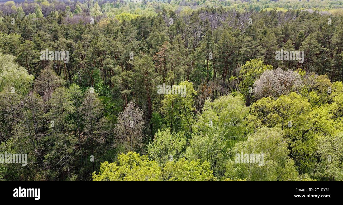 Eastern european beauty hi-res stock photography and images - Alamy