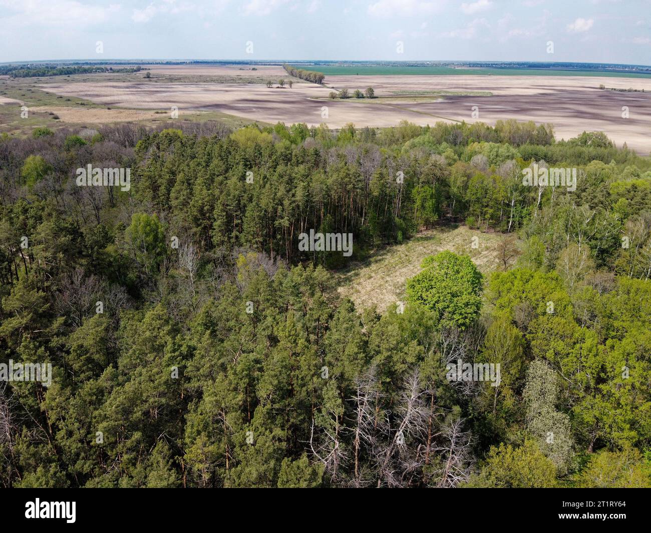 A place of felling, aerial view. Devastated land, clearing Stock Photo ...