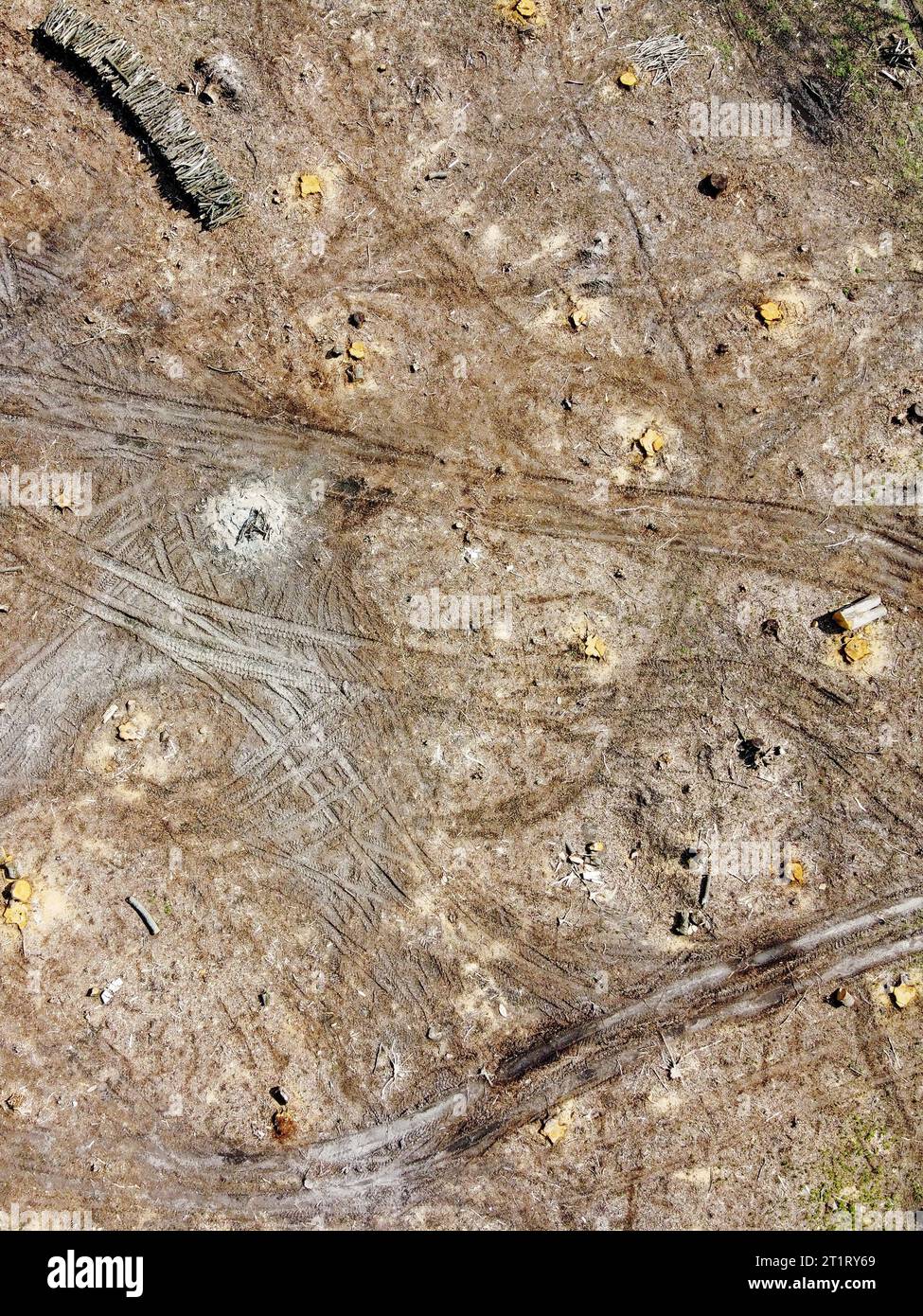 Logging place, aerial view. Devastated land. Felled forest Stock Photo ...