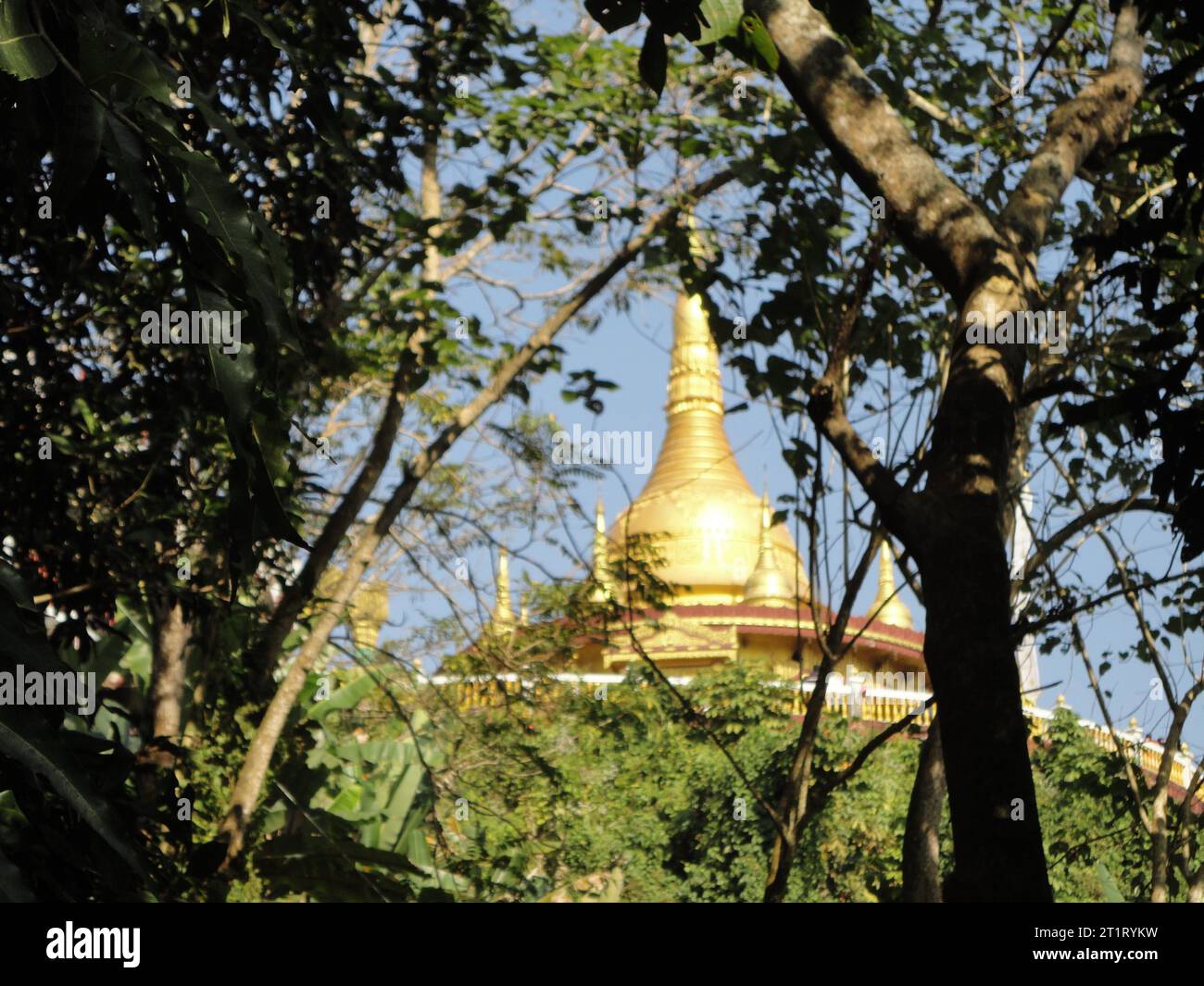 The beautiful view from ground of the golden dome of a pagoda located ...
