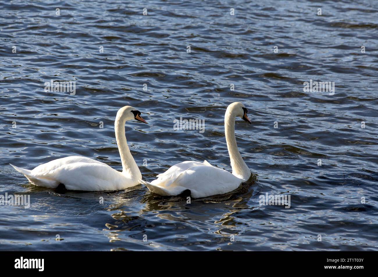 Sale water park lake hi-res stock photography and images - Alamy