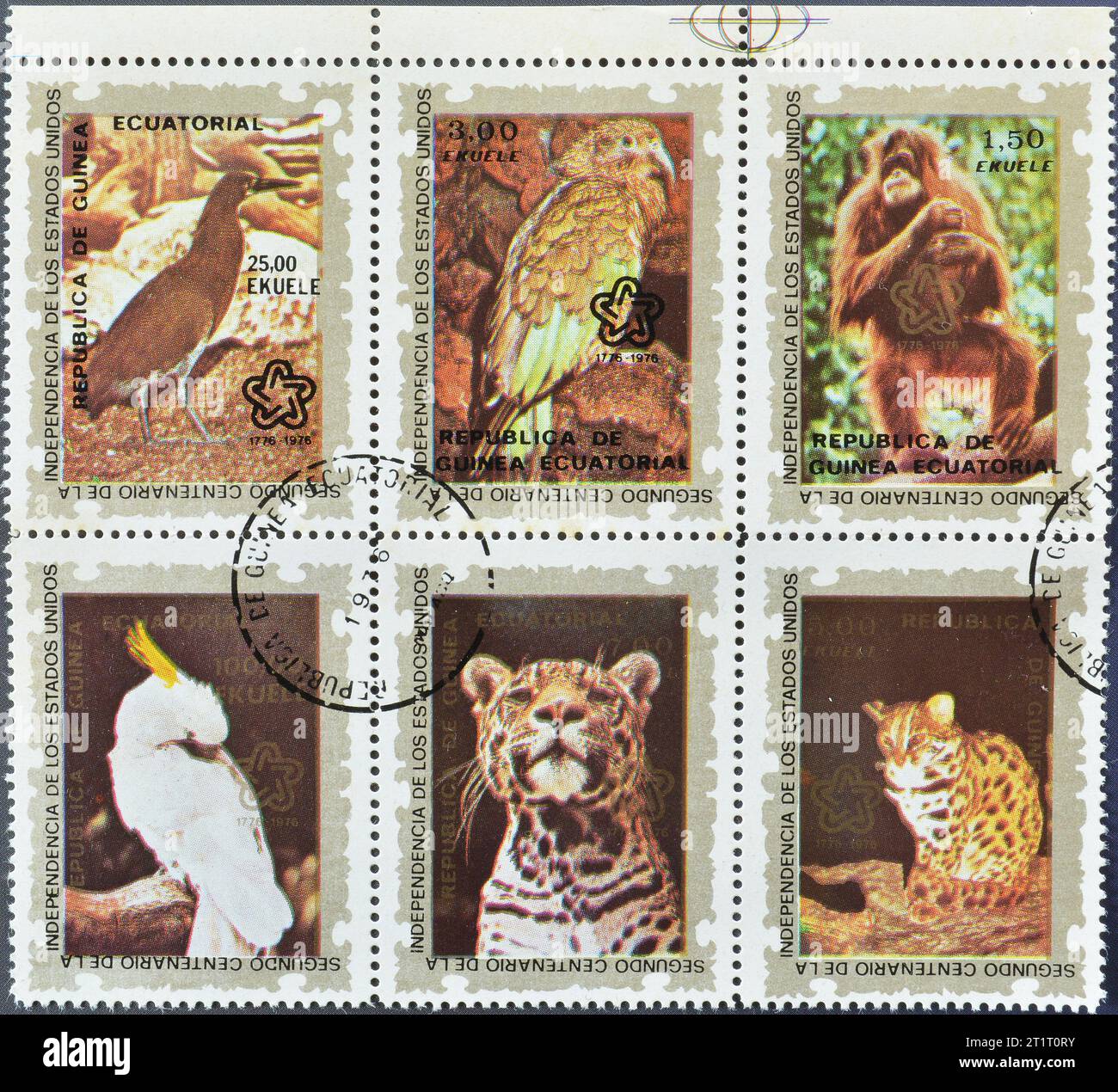 Cancelled postage stamp printed by Equatorial Guinea, that shows Wild ...