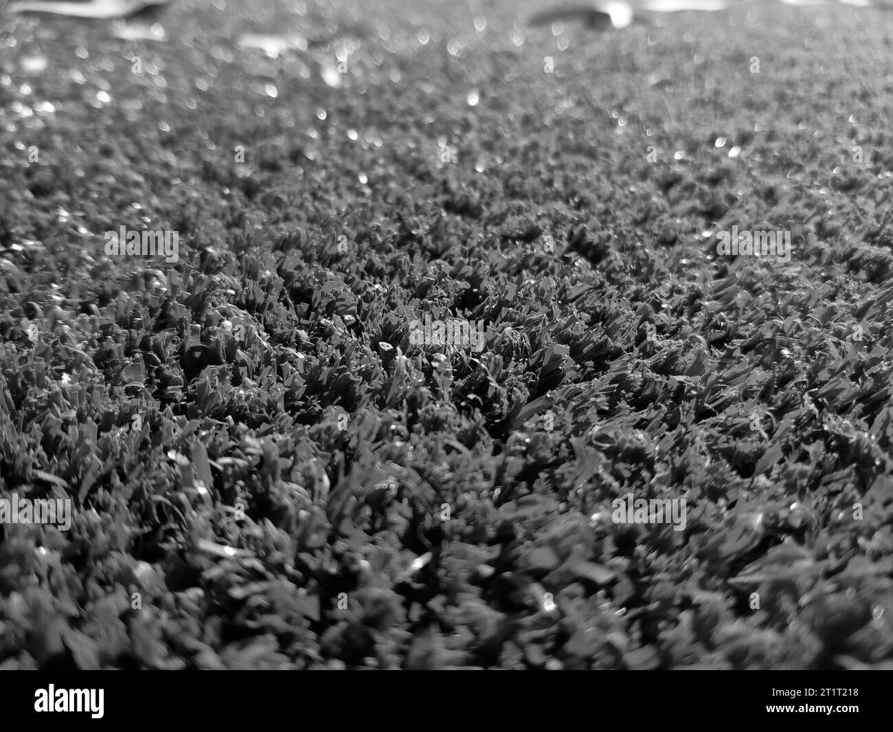 Black and white grass background close view, grayscale grass photo ...