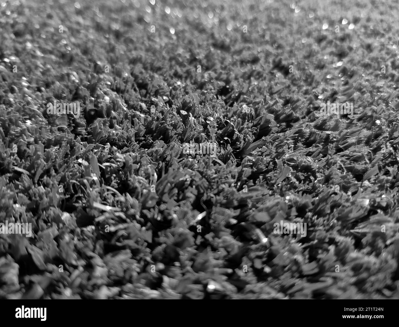 Black and white grass background close view, grayscale grass photo ...