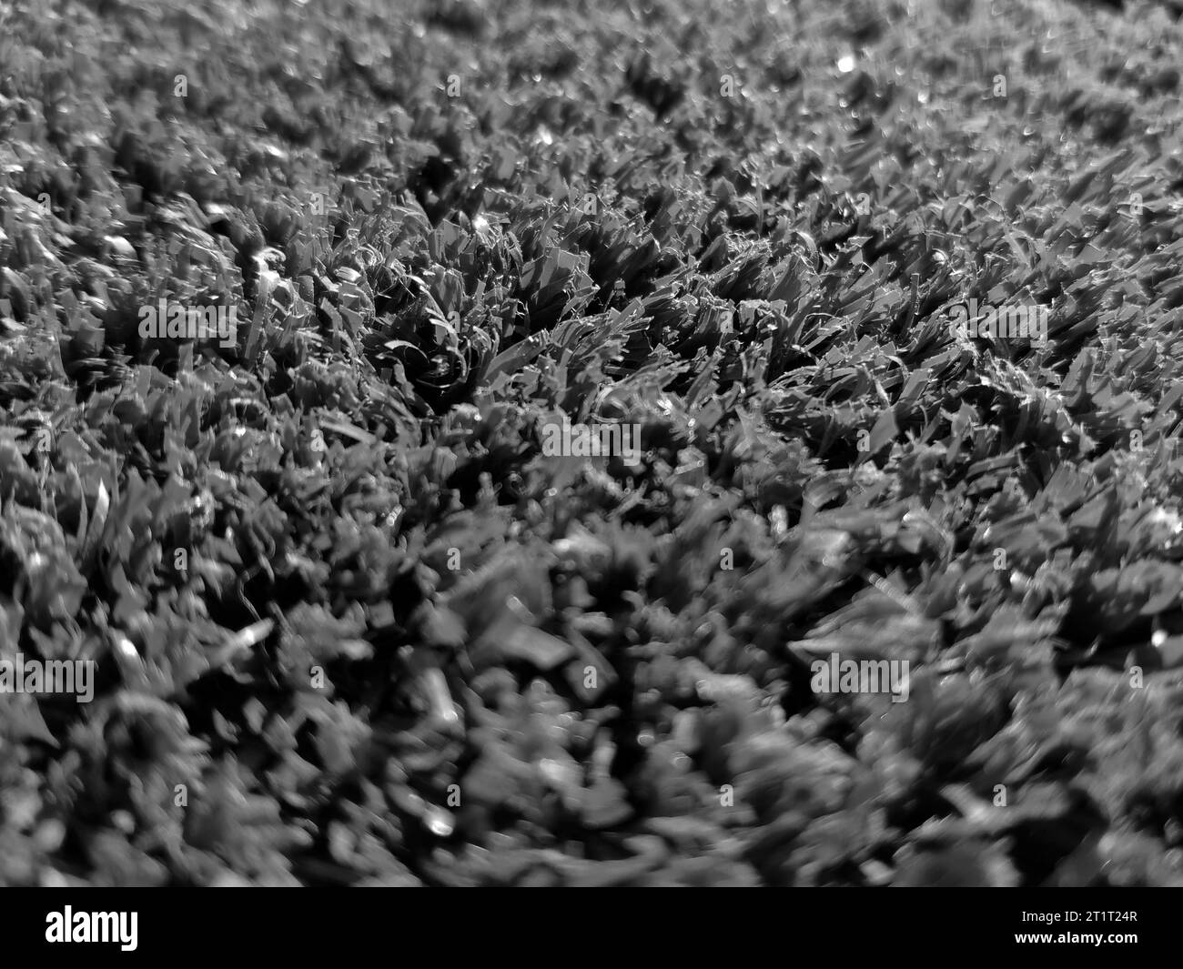 Black and white grass background close view, grayscale grass photo ...