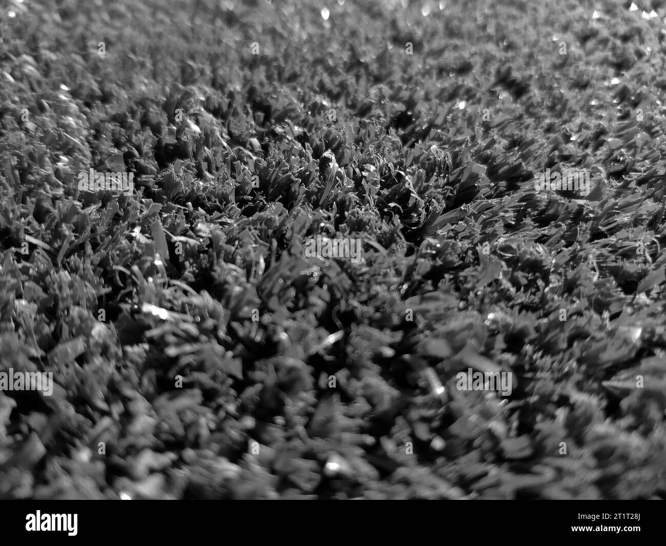 Black and white grass background close view, grayscale grass photo ...