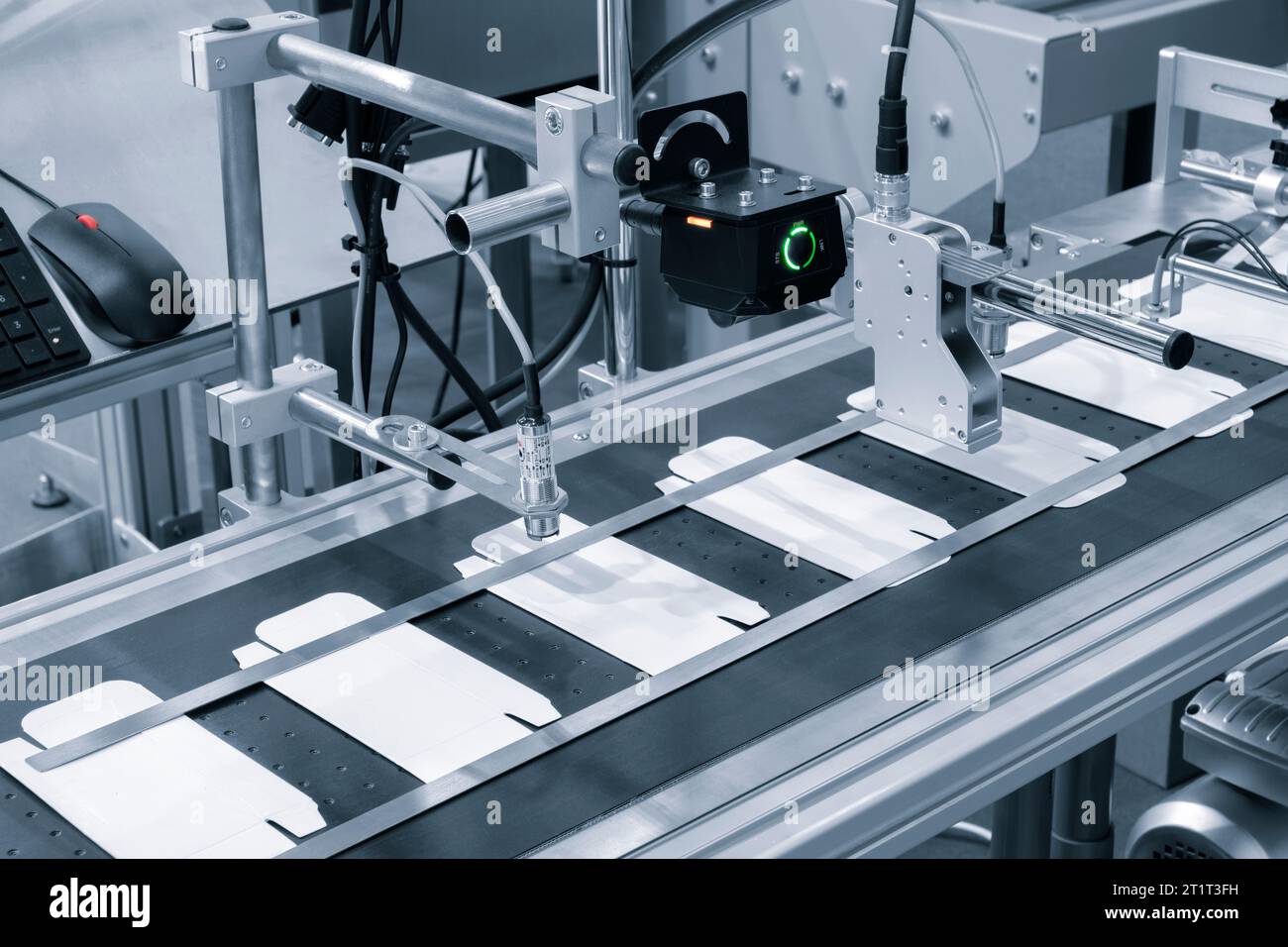 Elements of corton boxes are collected in stack. Conveyor line for the ...