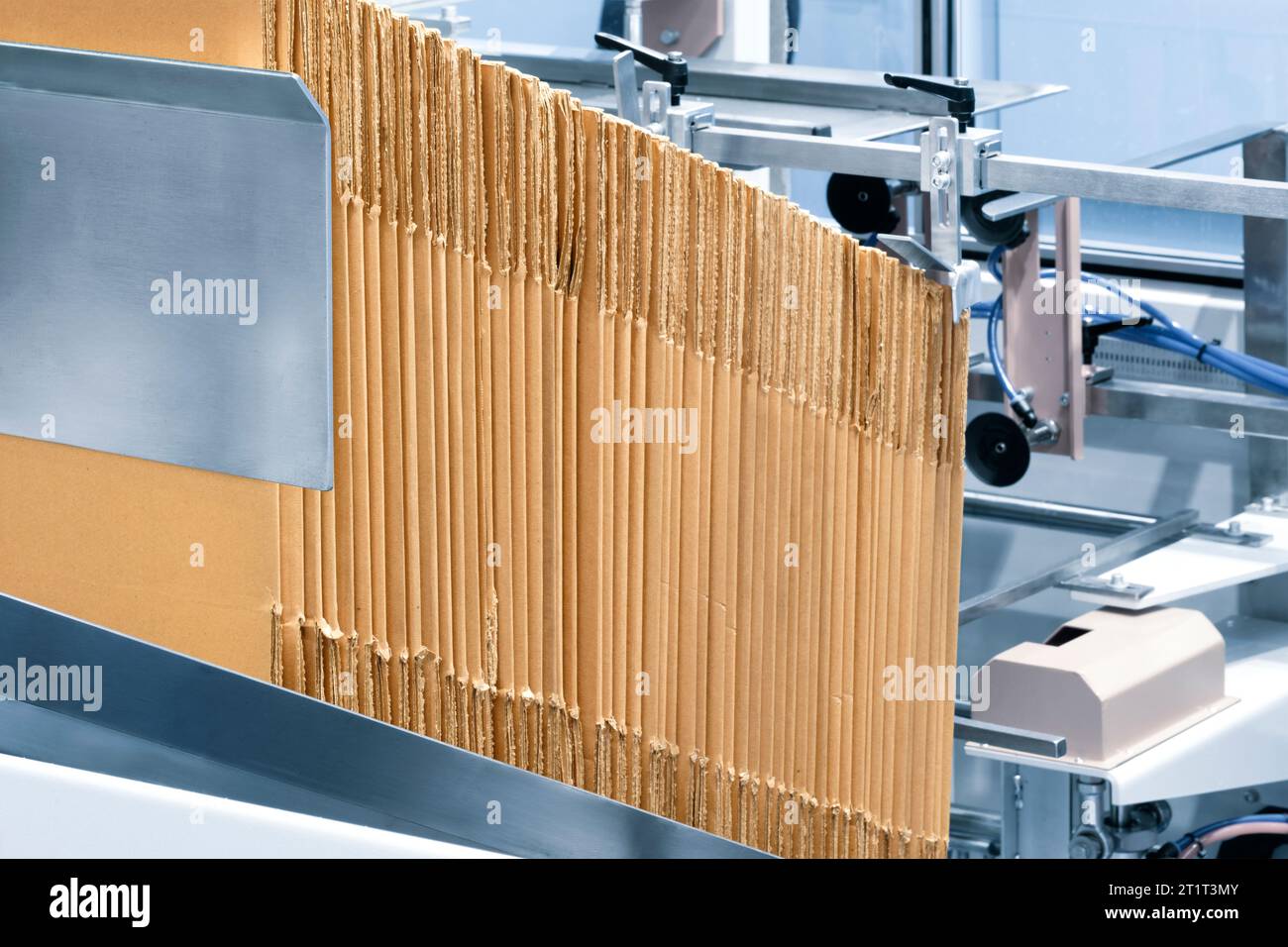 Elements of corton boxes are collected in stack. Conveyor line for the ...