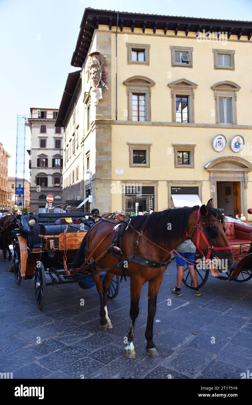 Florence, Italy. September 17, 2023. The horses of the carriages that ...