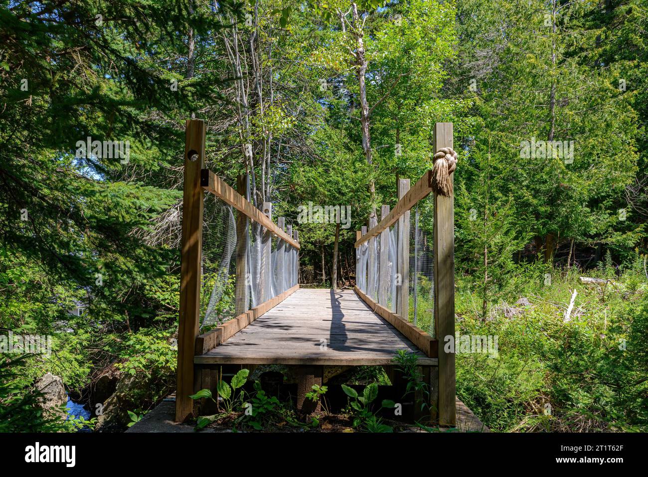 Footbridge on a sunny day hi-res stock photography and images - Alamy