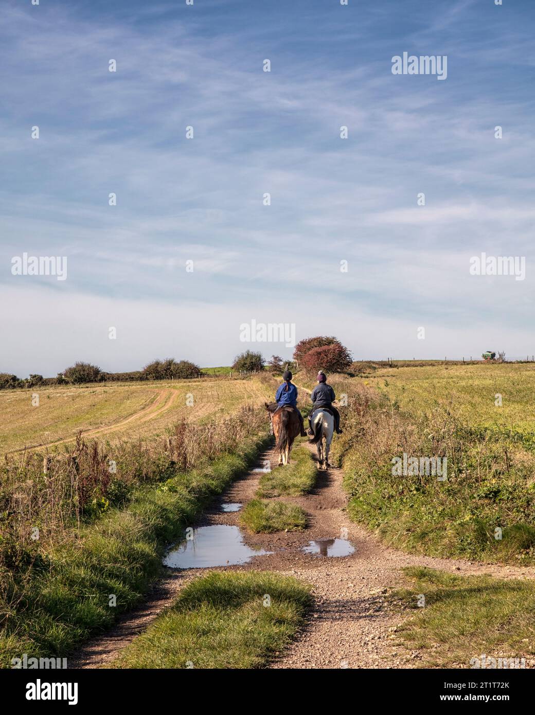 Horse Riding on the South Downs Way Stock Photo - Alamy