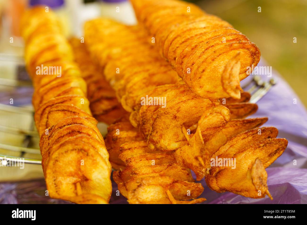 Crispy spiral potato on a stick. Street food. Close-up Stock Photo - Alamy