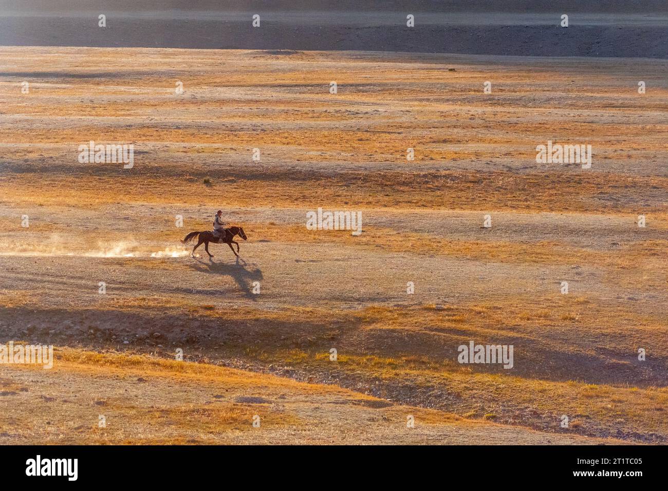 Cowboy gallops on horse hi-res stock photography and images - Alamy