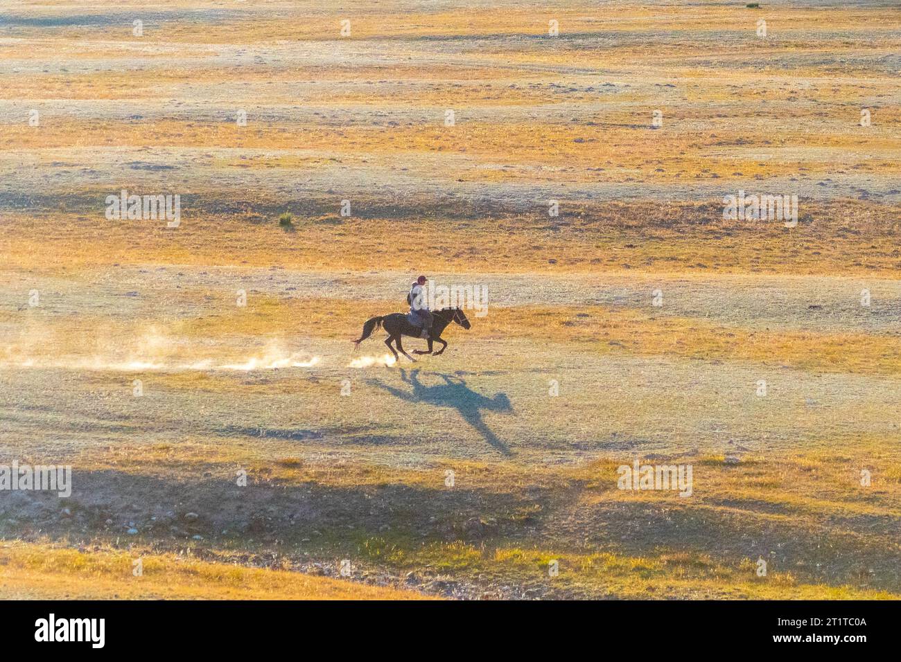 Rider gallops on horse hi-res stock photography and images - Alamy