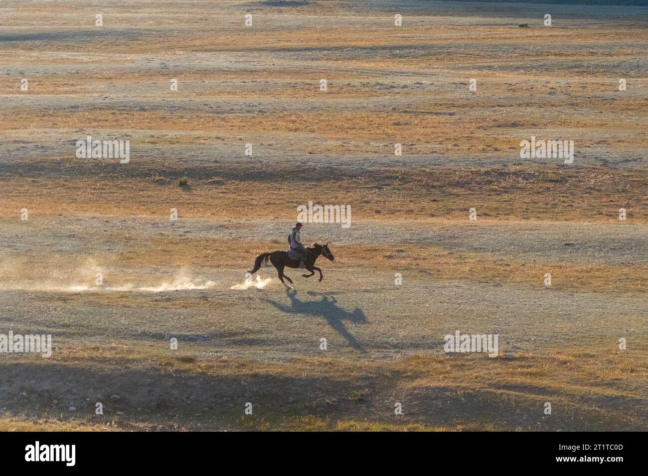 Nomad man on running horse hi-res stock photography and images - Alamy