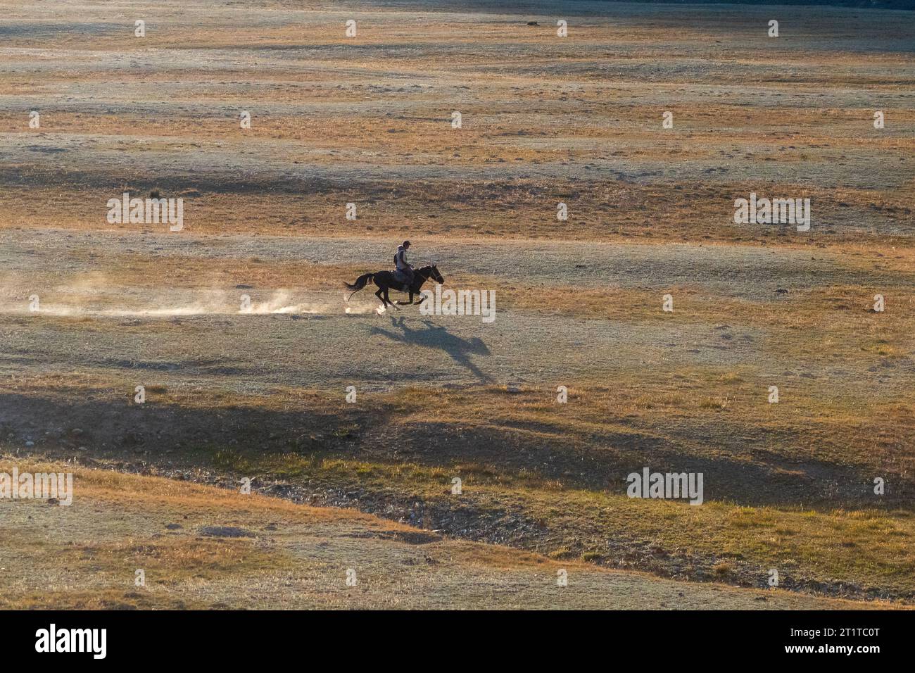 Rider gallops on horse hi-res stock photography and images - Alamy