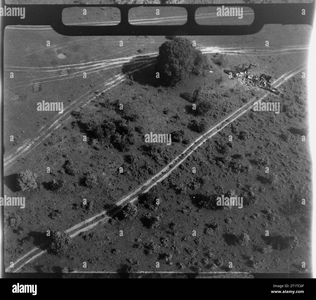 Japanese special forces group hi-res stock photography and images - Alamy