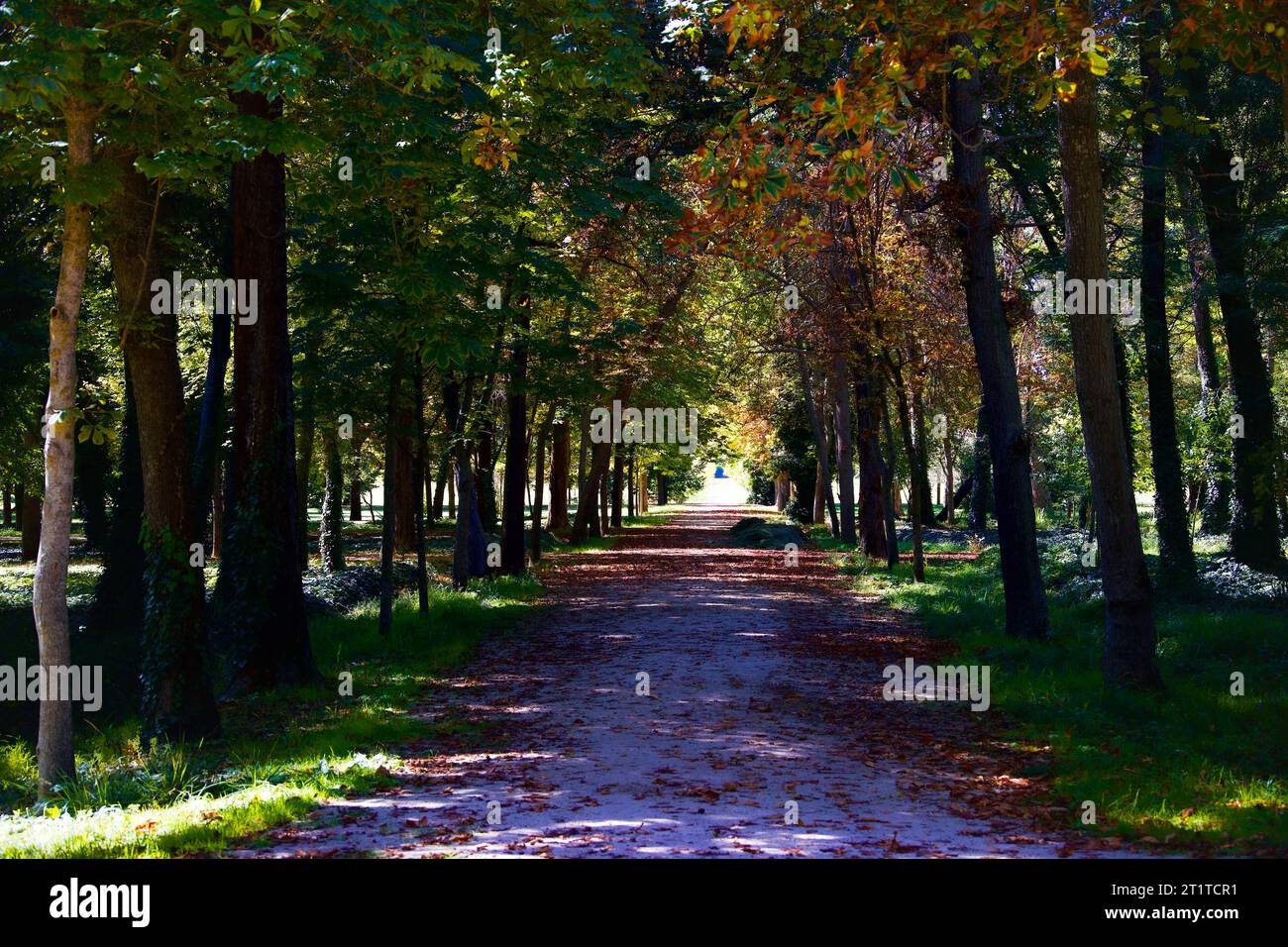 The beginning of autumn in Madrid, Spain brings the transformation of ...
