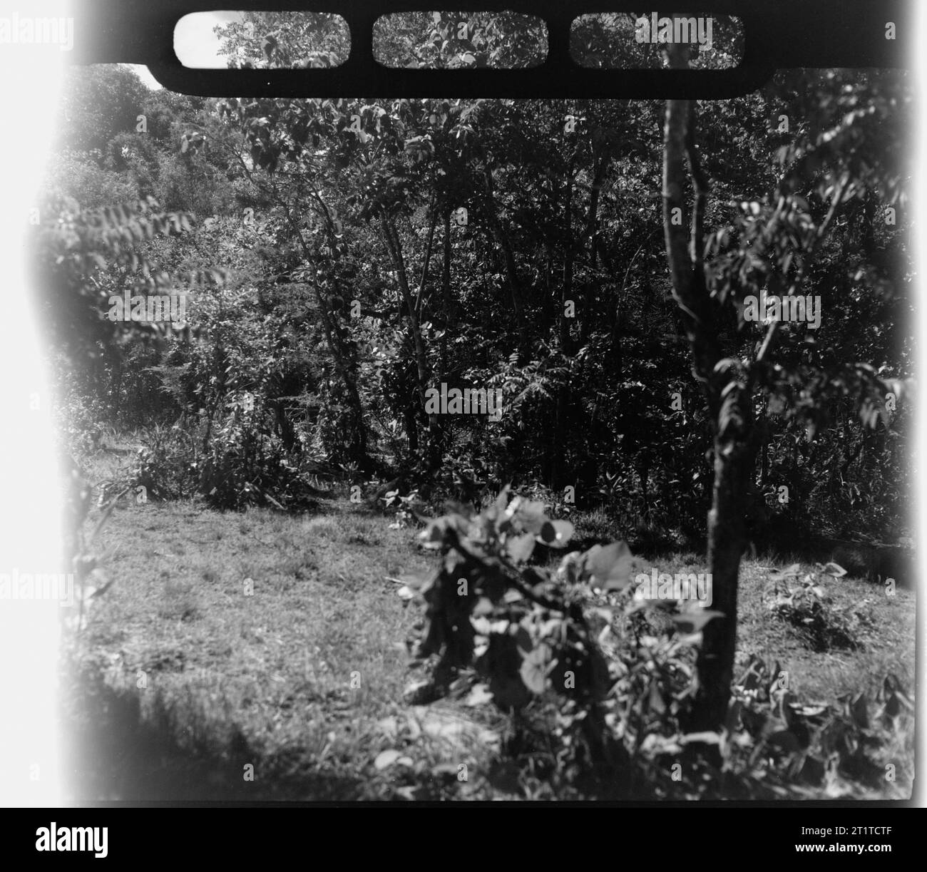 Japanese special forces group hi-res stock photography and images - Alamy