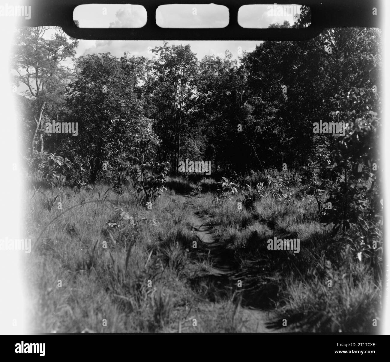 Japanese special forces group hi-res stock photography and images - Alamy