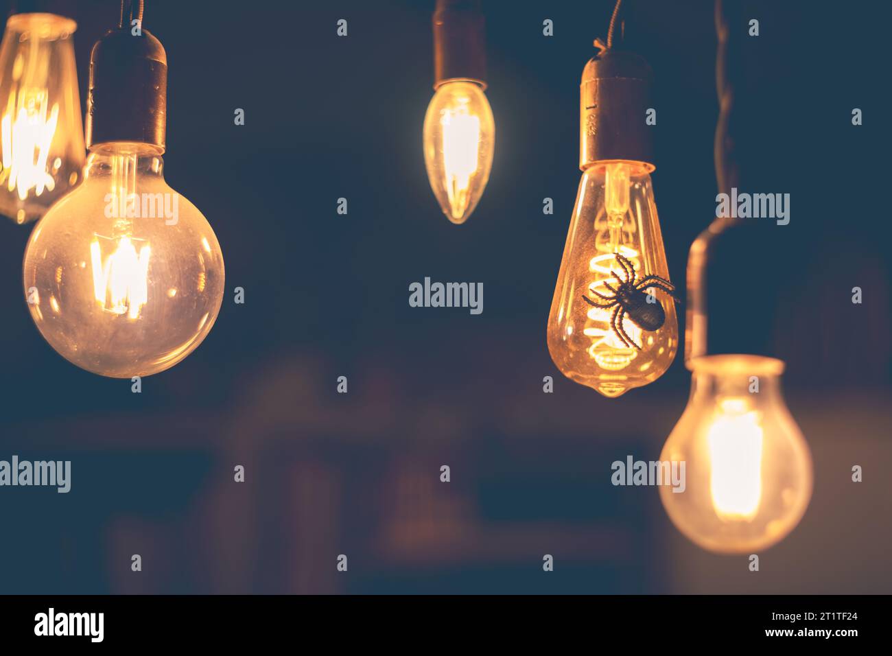 Spider on a dusty retro spiral light bulb. Halloween Stock Photo - Alamy