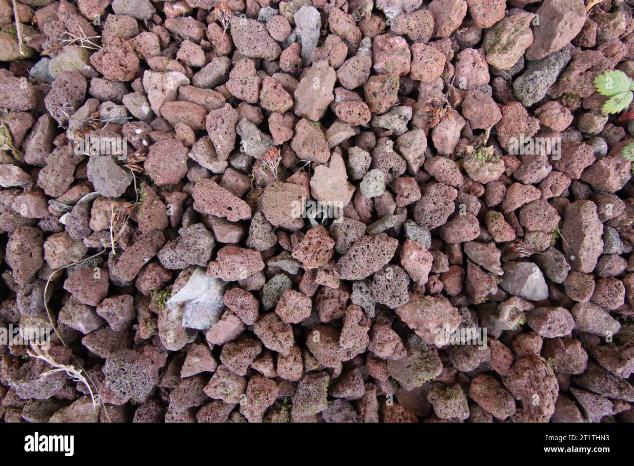 pattern of red stone close up Stock Photo - Alamy