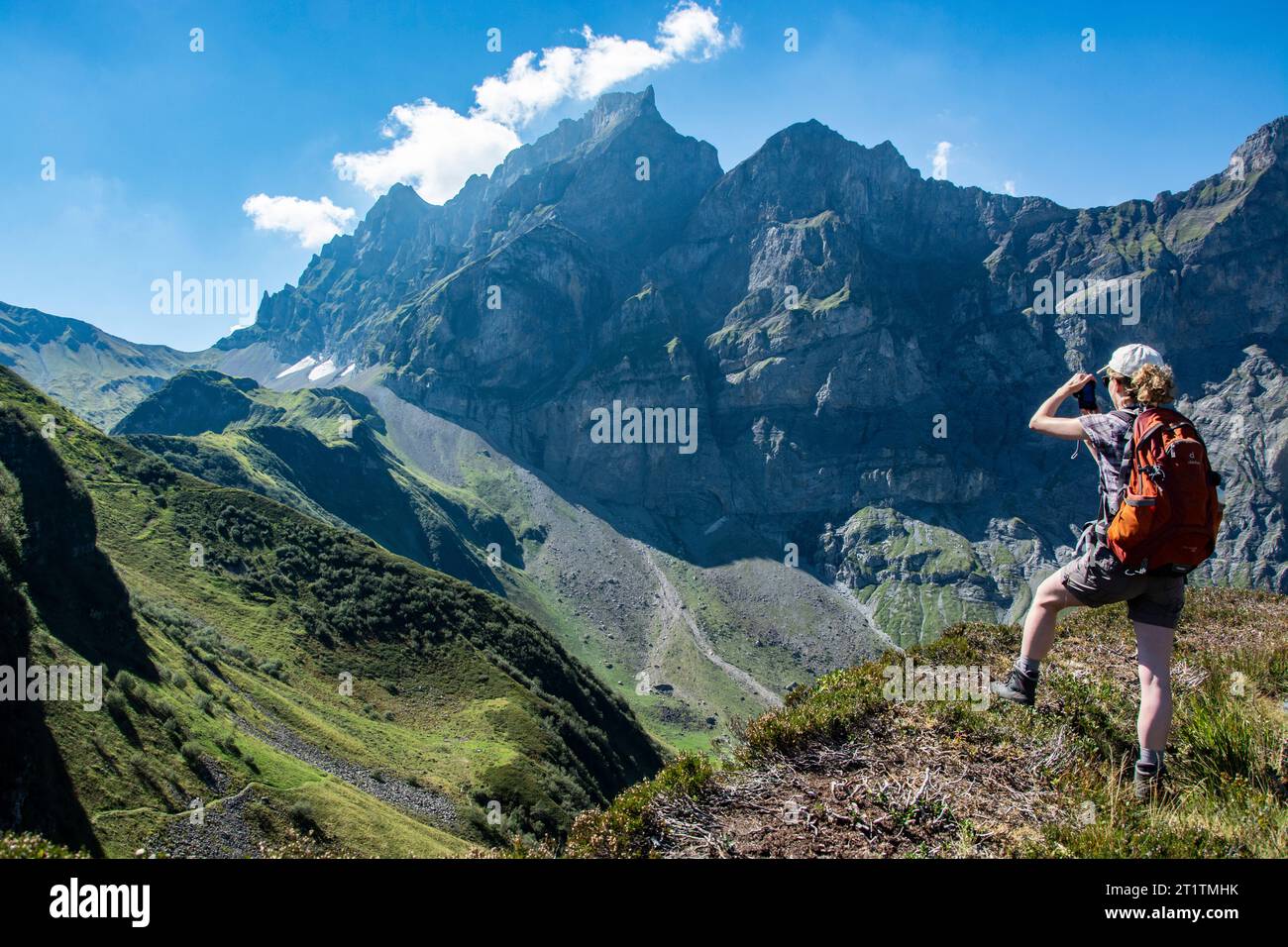 Waldnacht hi-res stock photography and images - Alamy